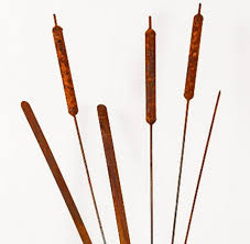 METAL BULLRUSH SHORT – Stonemans Garden Centre